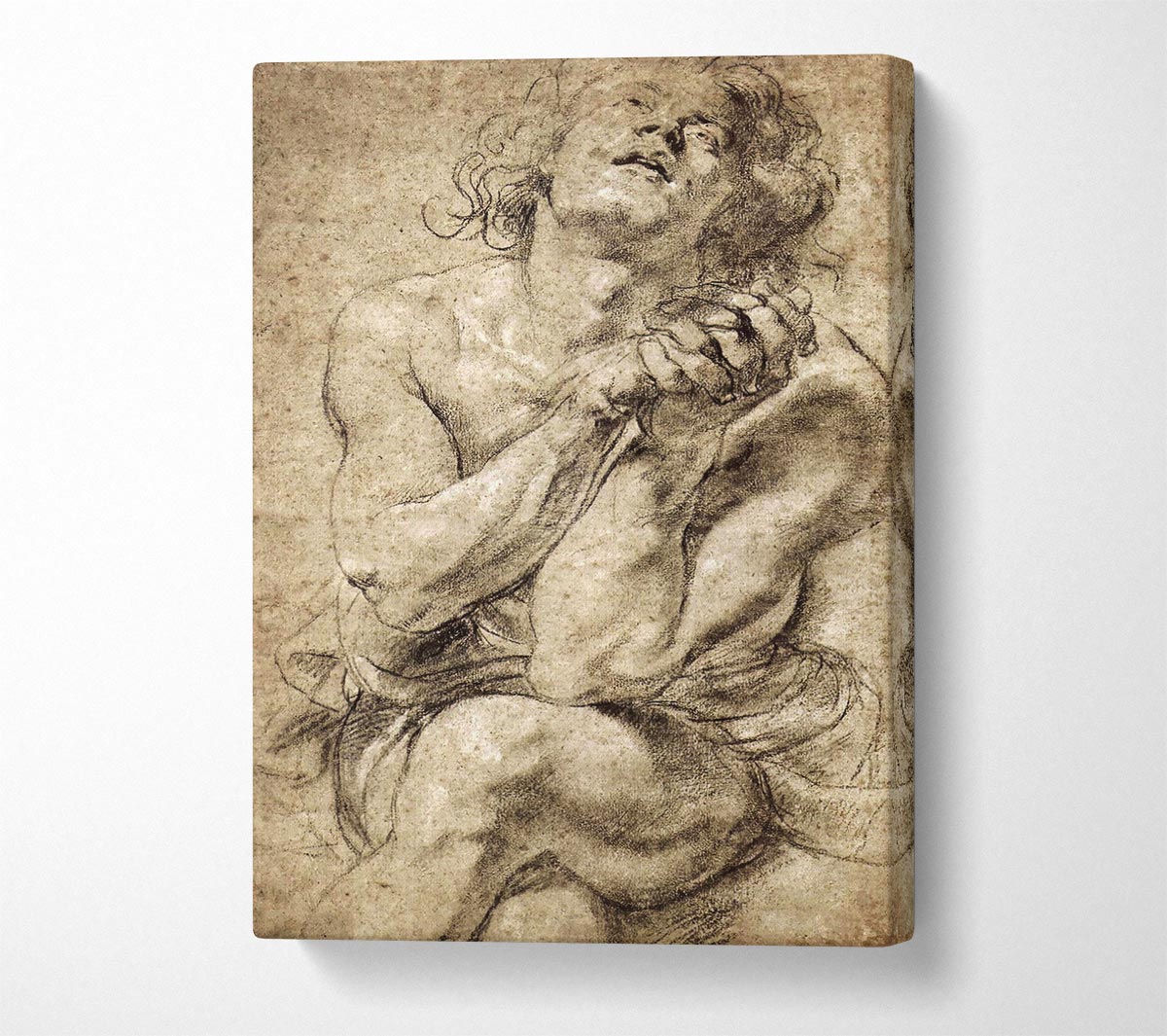 Rubens' Daniel in the Lions' Den Canvas - Buy Now Online – Wallart-Direct