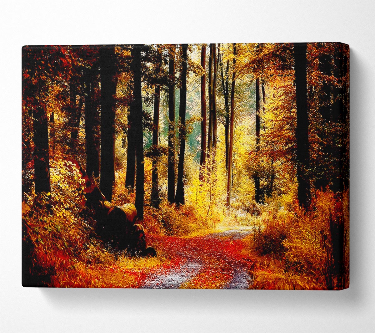 Forest Autumn Path Canvas - Capture Fall's Beauty – Wallart-Direct