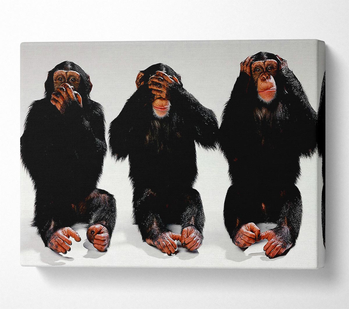 Three Wise Monkeys Canvas - Unique Wall Art Decor – Wallart-Direct