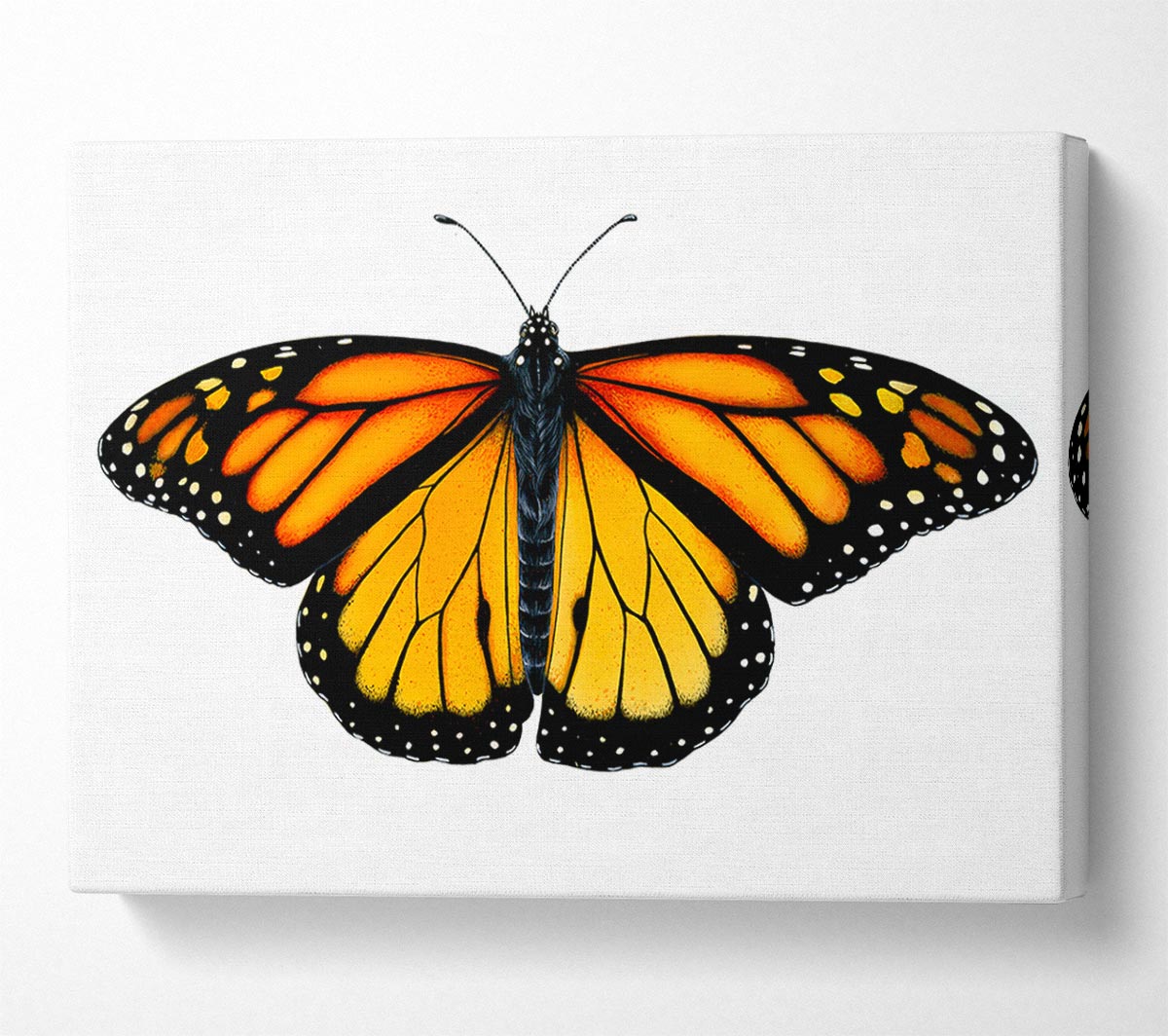 Stunning Orange Butterfly Wings Canvas Art - Shop Now – Wallart-Direct