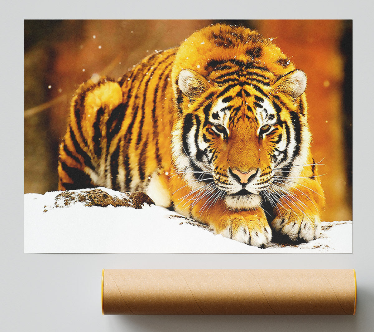 Siberian Snow Tiger Print – Wallart-Direct